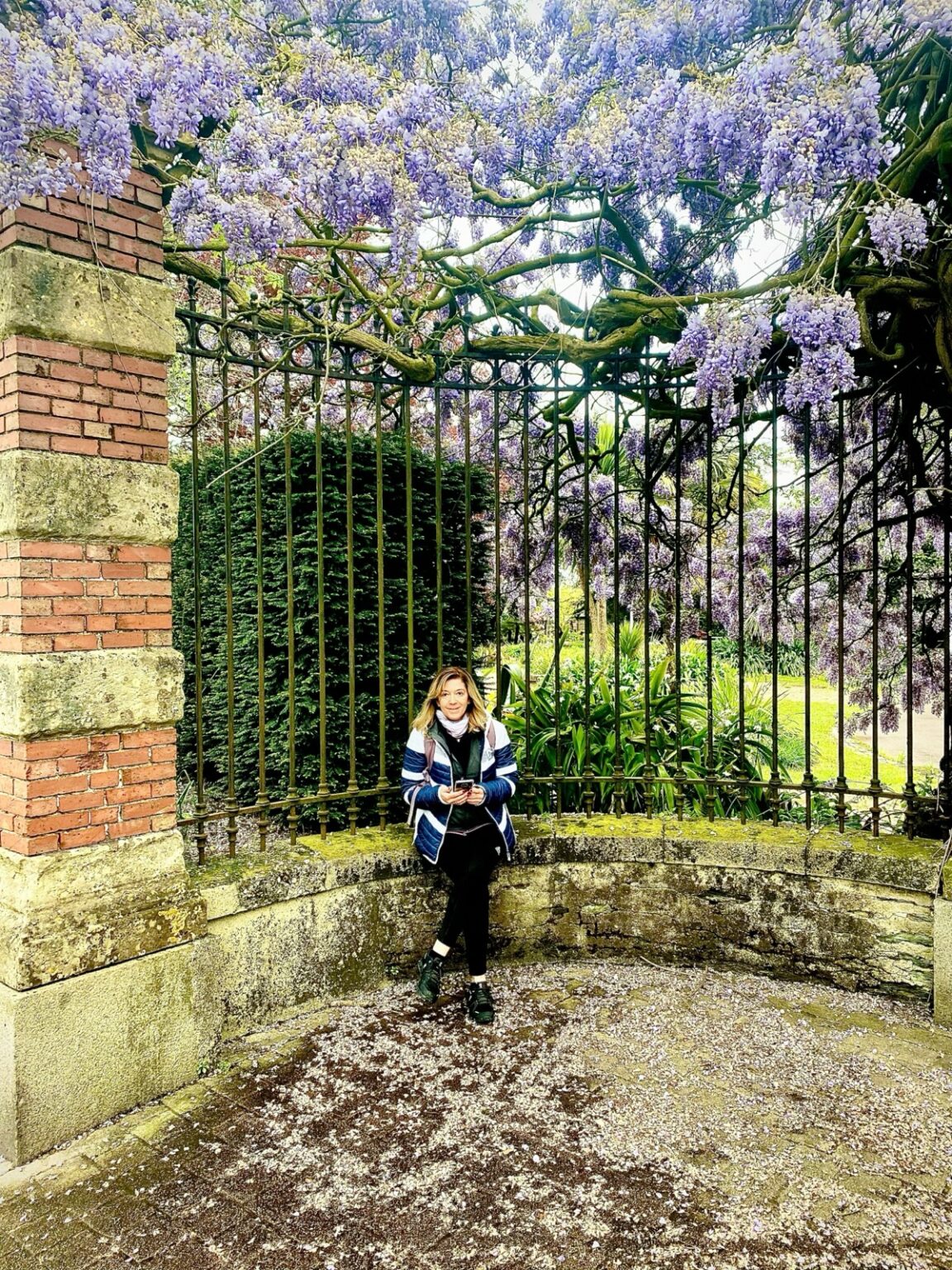 Cherbourg auf eigene Faust + Kreuzfahrt-Hafen
