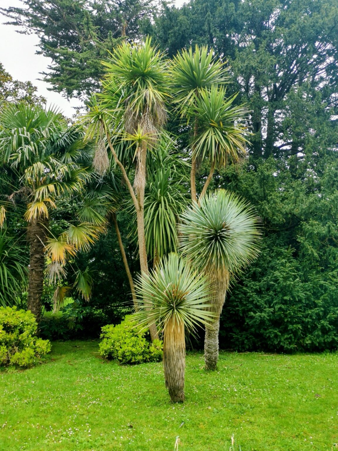 Cherbourg auf eigene Faust + Kreuzfahrt-Hafen